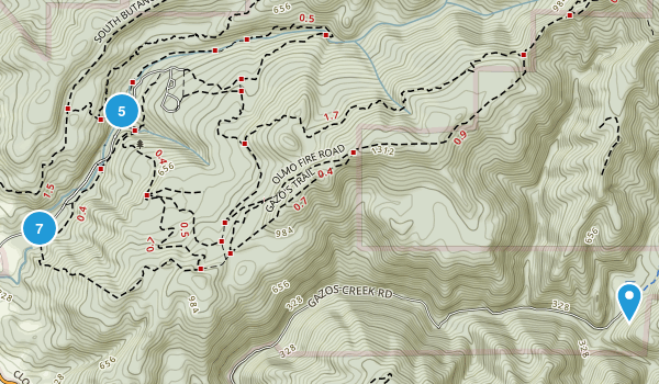 Best Trails in Butano State Park - California | AllTrails