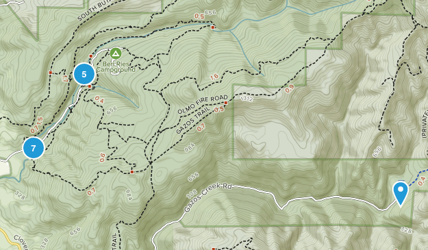 Best Trails in Butano State Park - California | AllTrails