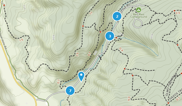 Best Trails in Butano State Park - California | AllTrails