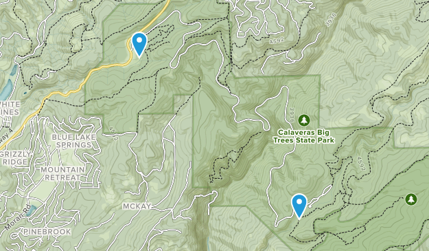 Best Trails in Calaveras Big Trees State Park - California | AllTrails