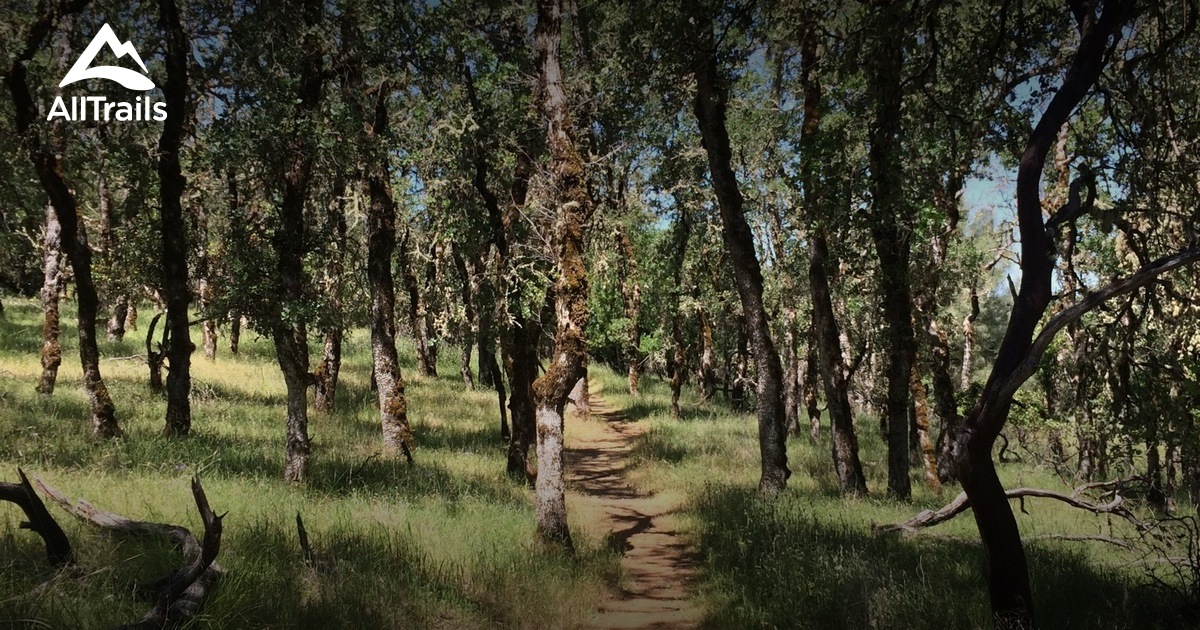 Best trail running trails in Clear Lake State Park | AllTrails