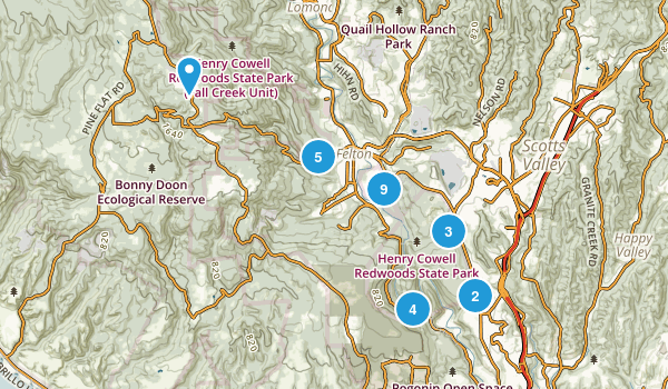 Best Trails in Henry Cowell Redwoods State Park - California | AllTrails
