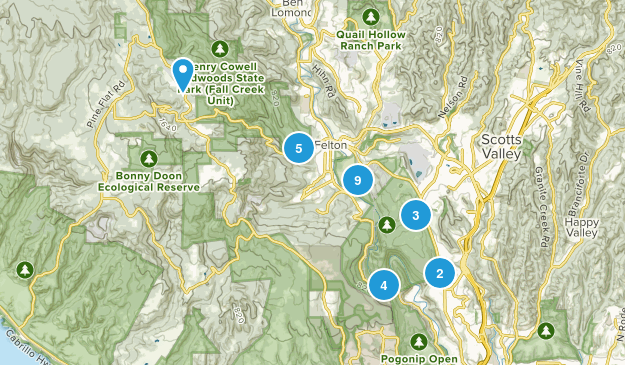 Best Trails in Henry Cowell Redwoods State Park - California | AllTrails