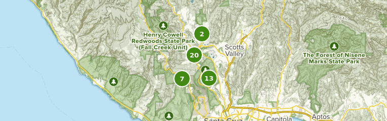 Best Trails in Henry Cowell Redwoods State Park - California | AllTrails