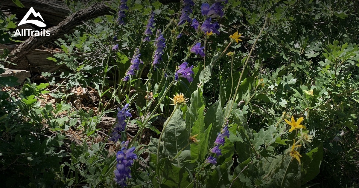 Best hikes and trails in Mancos State Park | AllTrails