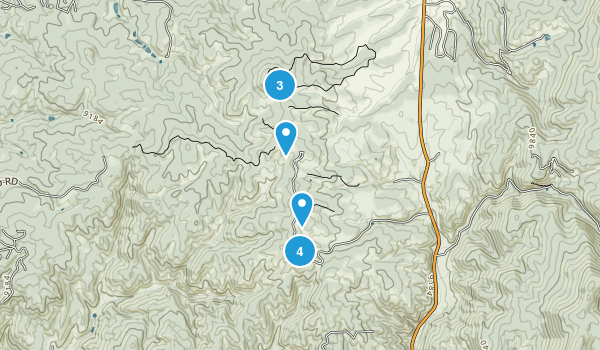 Best Trails in Mueller State Park - Colorado | AllTrails