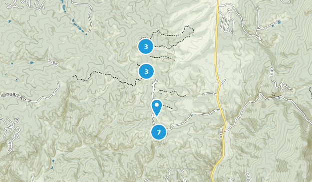 Best Trails in Mueller State Park - Colorado | AllTrails