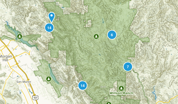 Best Trails in Henry W. Coe State Park - California | AllTrails