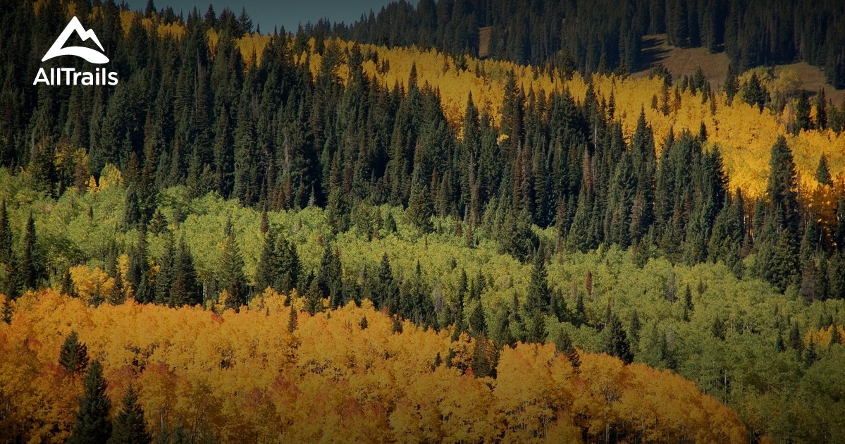 Vega State Park : les meilleurs itinéraires avec fleurs sauvages ...