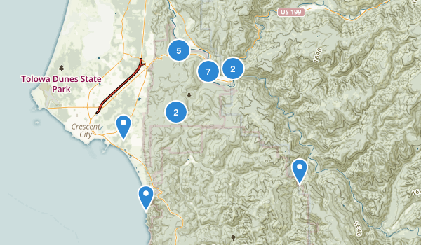 Best Trails in Jedediah Smith Redwood State Park | AllTrails.com