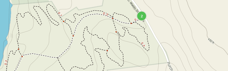 Best Hikes and Trails in George Waldo State Park | AllTrails