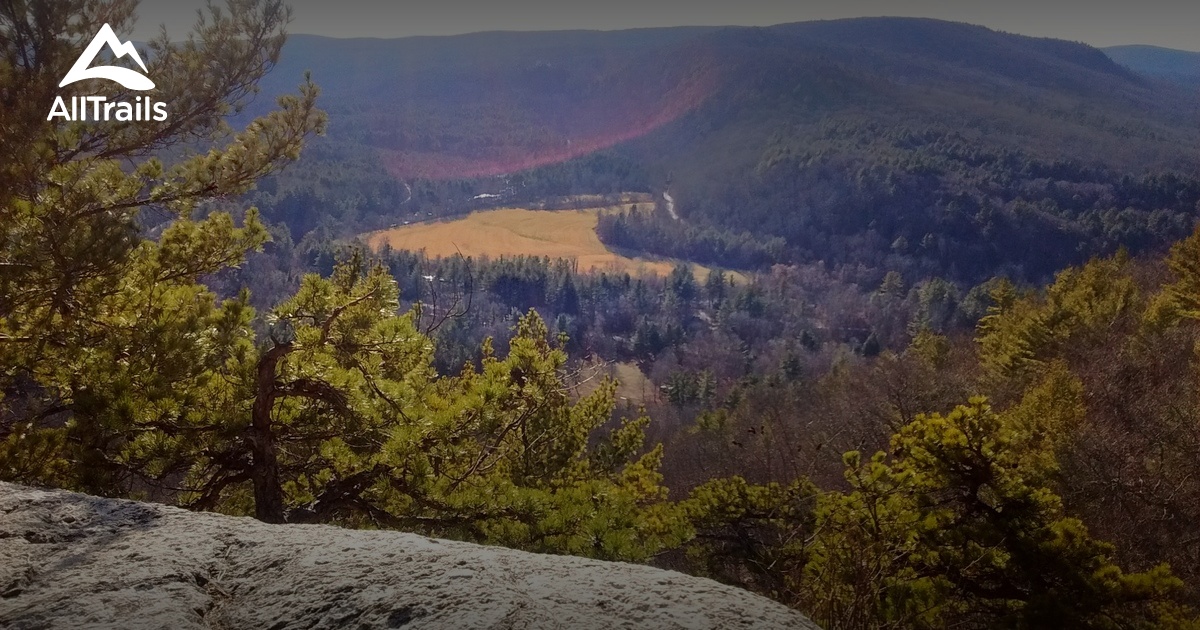 Die Besten Routen mit Botanischen Highlights in Housatonic State Forest ...