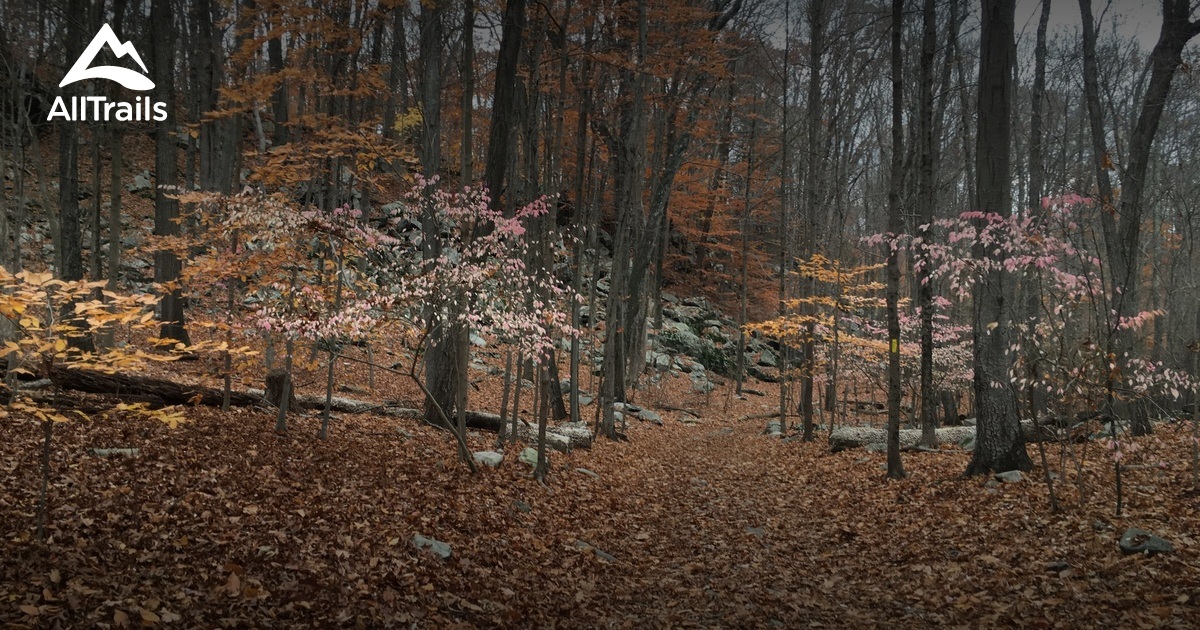Best hikes and trails in Mianus River State Park | AllTrails