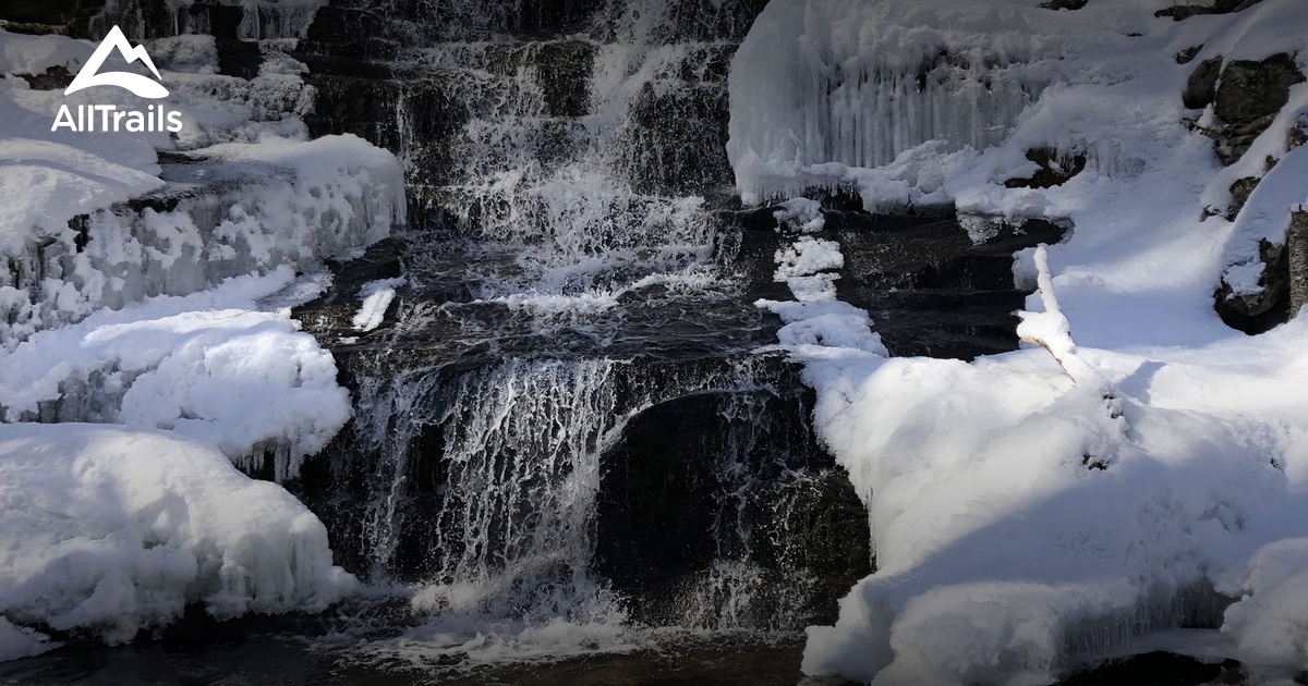 Best Trails in Tunxis State Forest - Connecticut | AllTrails