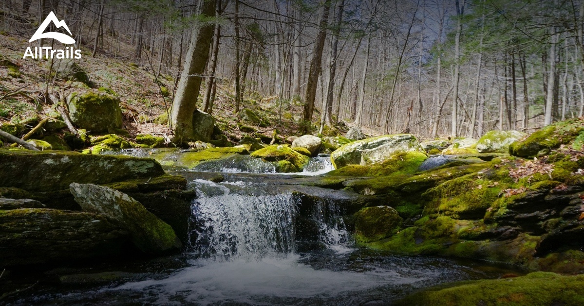 Best hikes and trails in Tunxis State Forest | AllTrails