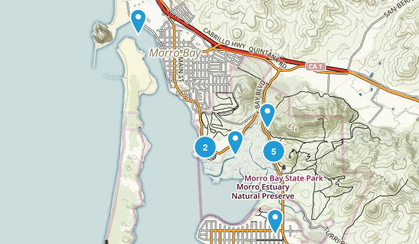 Best Trails in Morro Bay State Park - California | AllTrails