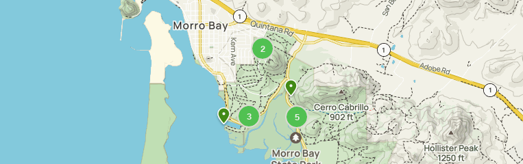 Best 10 Hikes and Trails in Morro Bay State Park | AllTrails