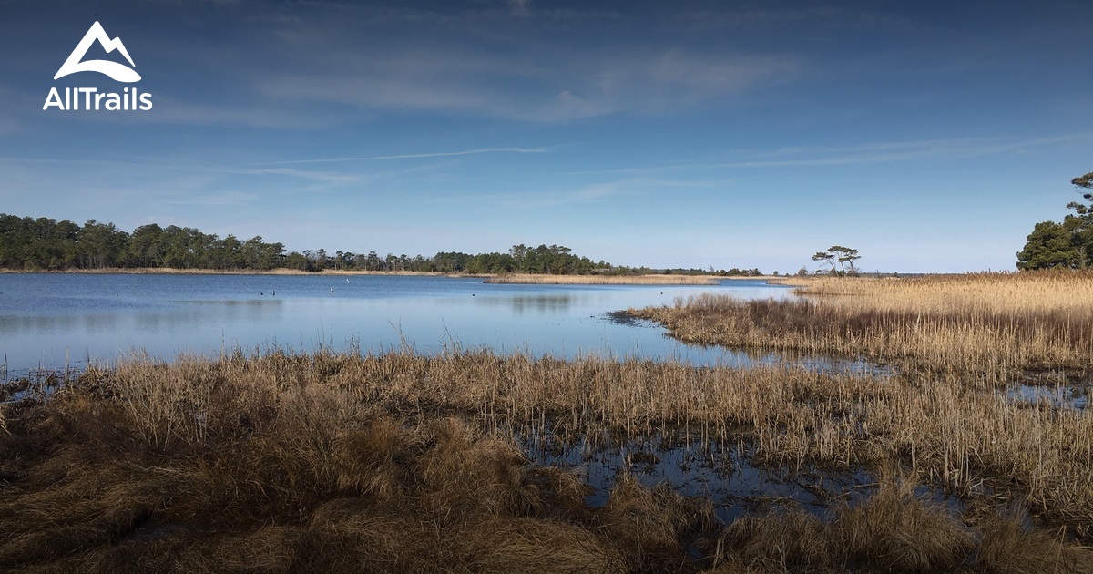Best Trails in Cape Henlopen State Park - Delaware | AllTrails