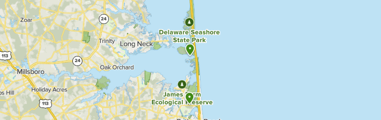 Best Hikes and Trails in Delaware Seashore State Park | AllTrails