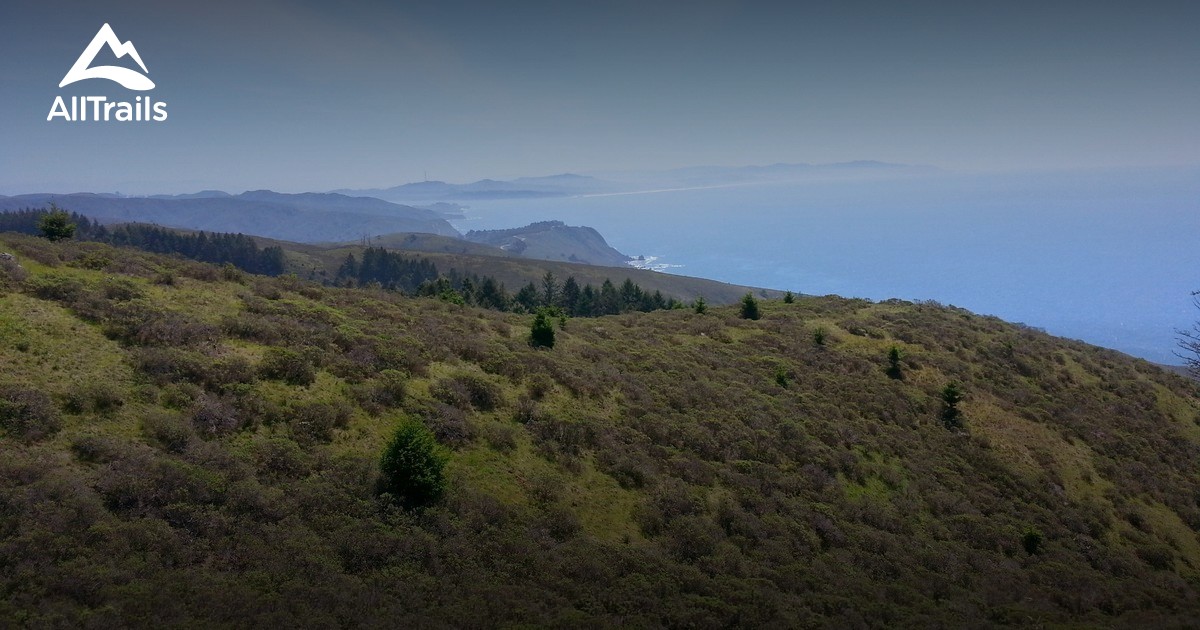 Best Trails in Mount Tamalpais State Park - California | AllTrails