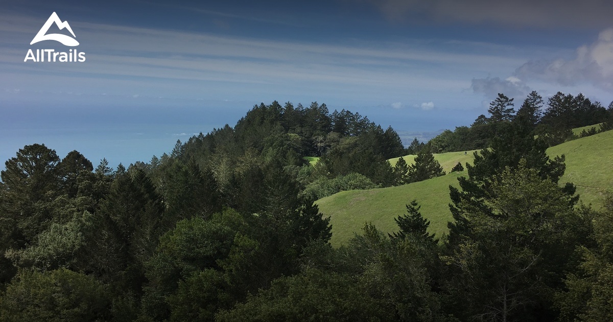 Best Trails in Mount Tamalpais State Park - California | AllTrails