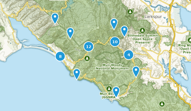 Best Trails in Mount Tamalpais State Park - California | AllTrails