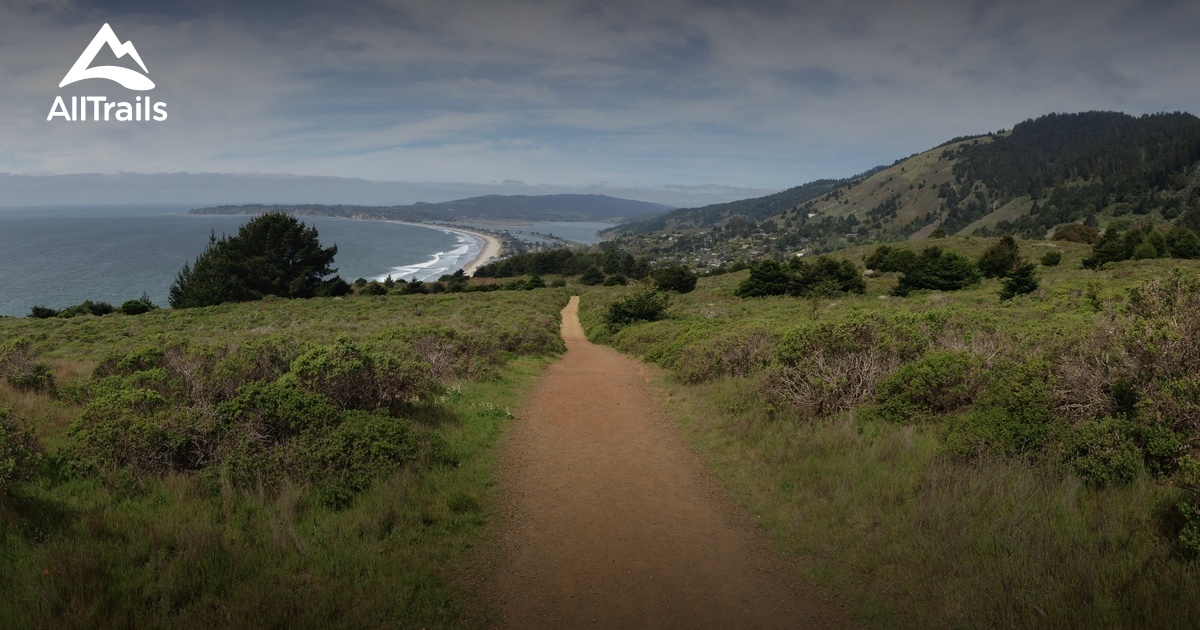 Best Trails in Mount Tamalpais State Park - California | AllTrails