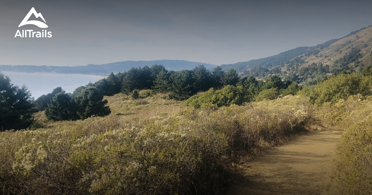 Best Trails in Mount Tamalpais State Park - California | AllTrails
