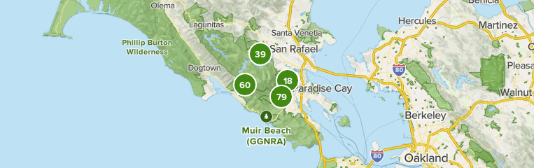Best Trails in Mount Tamalpais State Park - California | AllTrails