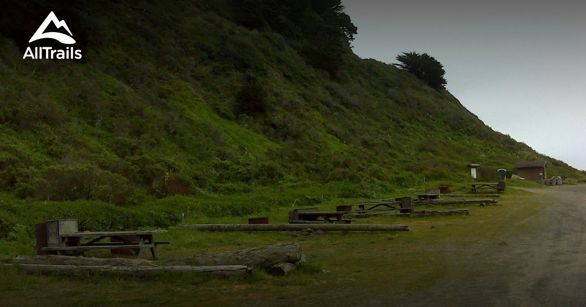 Best Trails in Navarro River Redwoods State Park - California | AllTrails