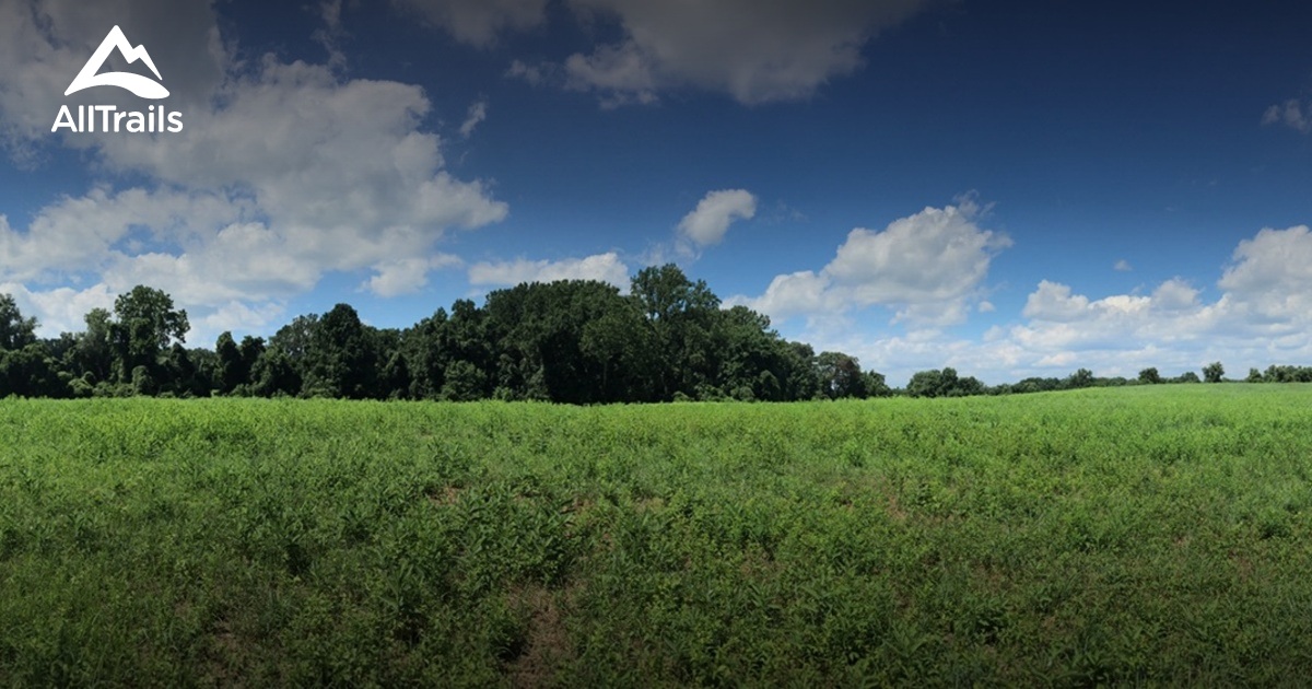 Best Trails in White Clay Creek State Park - Delaware | AllTrails
