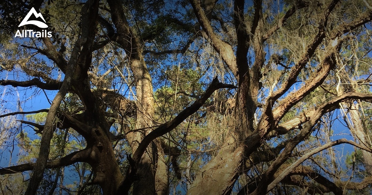 Best Trails in Alfred B. Maclay Gardens State Park - Florida | AllTrails