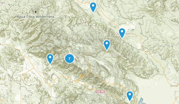 Best Trails in Palomar Mountain State Park - California | AllTrails