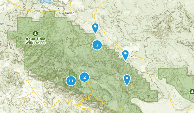 Best Trails in Palomar Mountain State Park - California | AllTrails