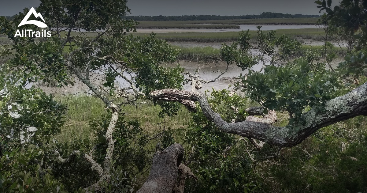 Best trails in Big Talbot Island State Park, Florida | AllTrails