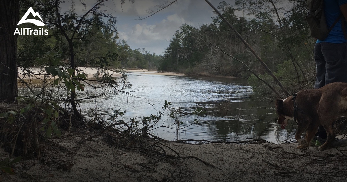 Best Trails in Blackwater River State Park - Florida | 64 Photos & 83 ...