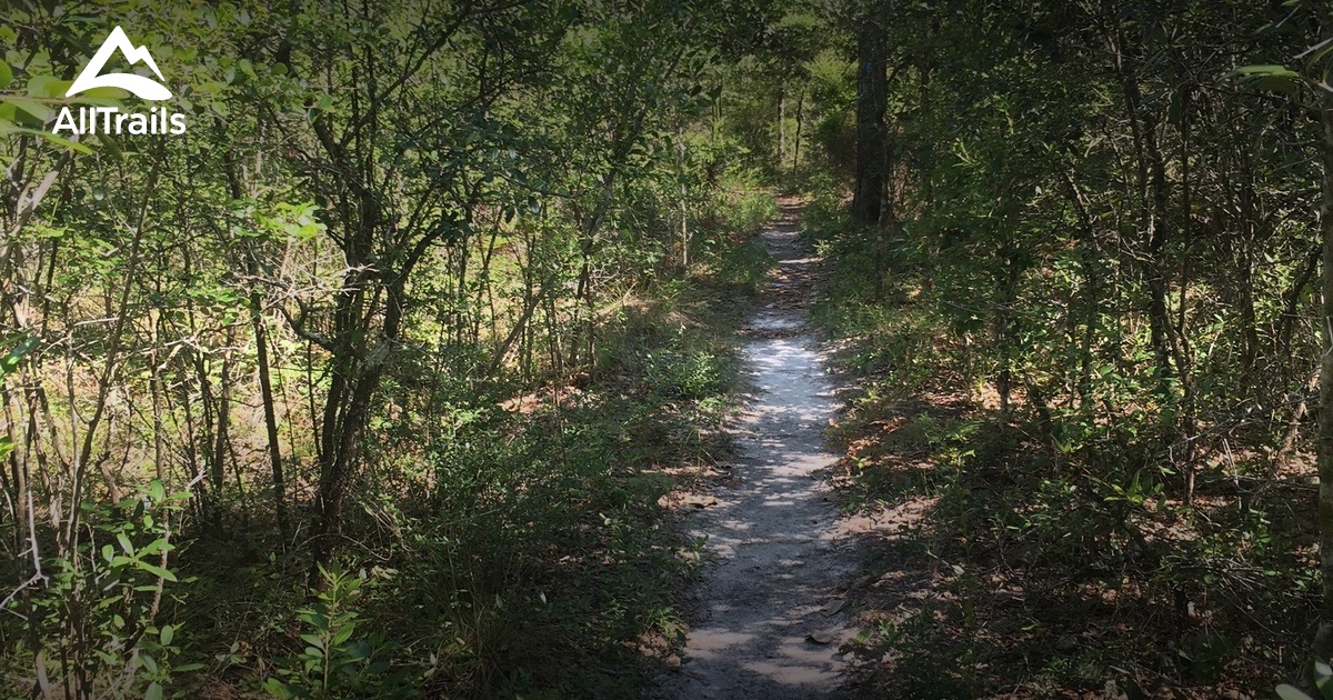 Best Trails in Blackwater River State Park - Florida | AllTrails
