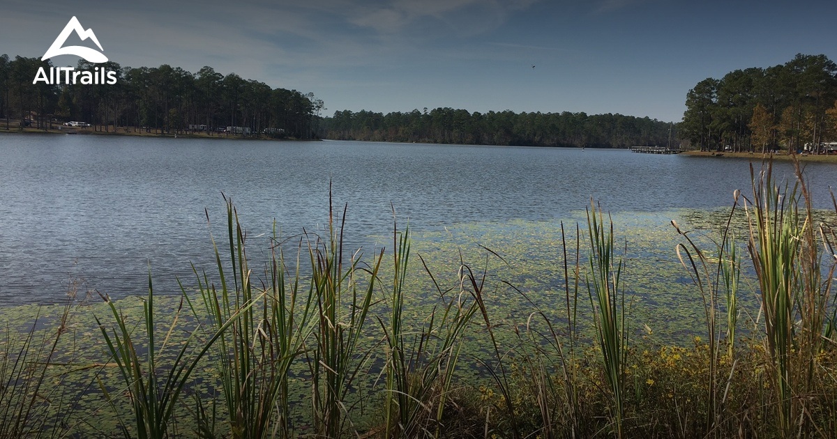 Best Trails in Blackwater River State Park - Florida | AllTrails