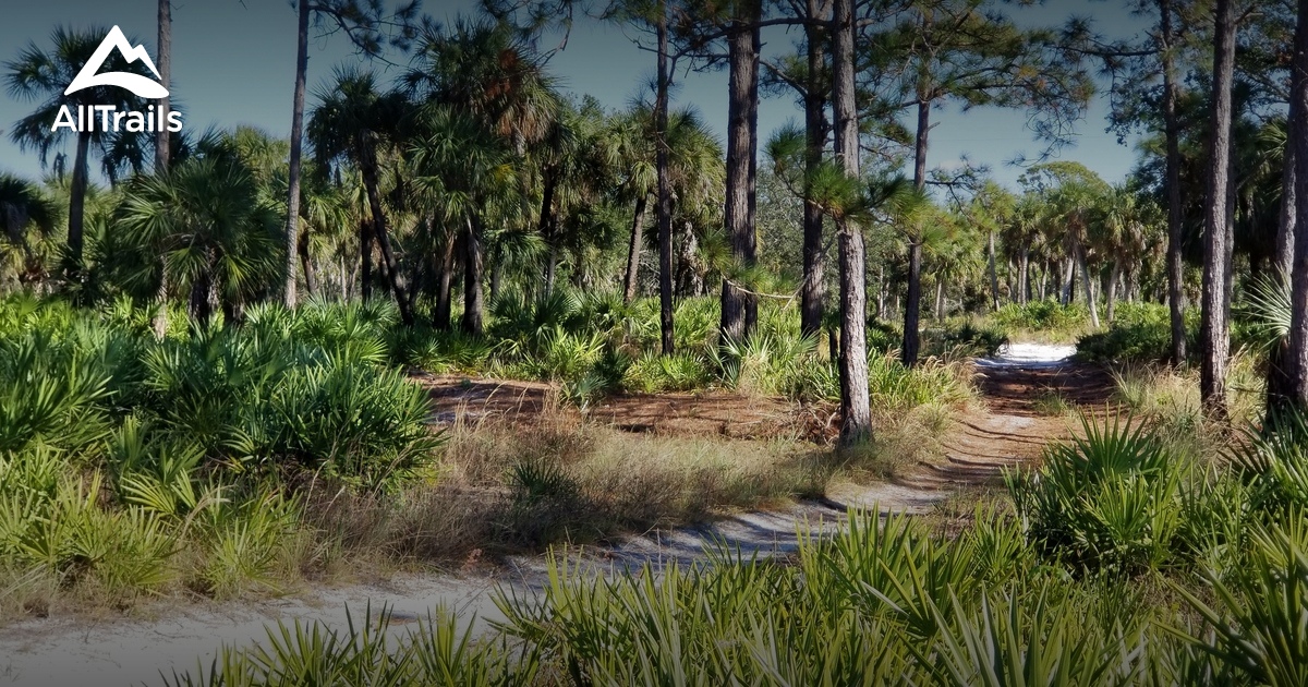 De beste routes langs het strand in Caladesi Island State Park | AllTrails
