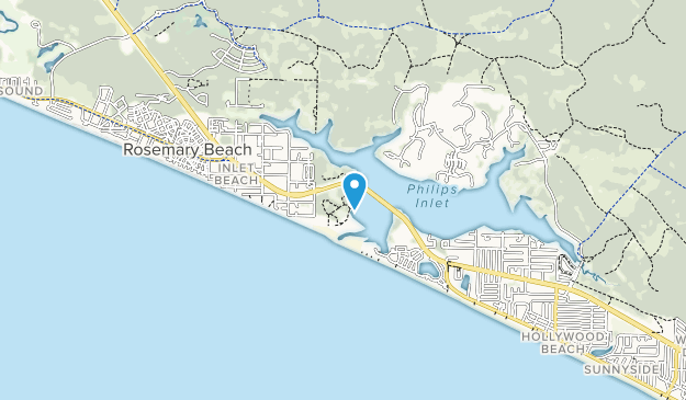 Best Trails in Camp Helen State Park - Florida | AllTrails