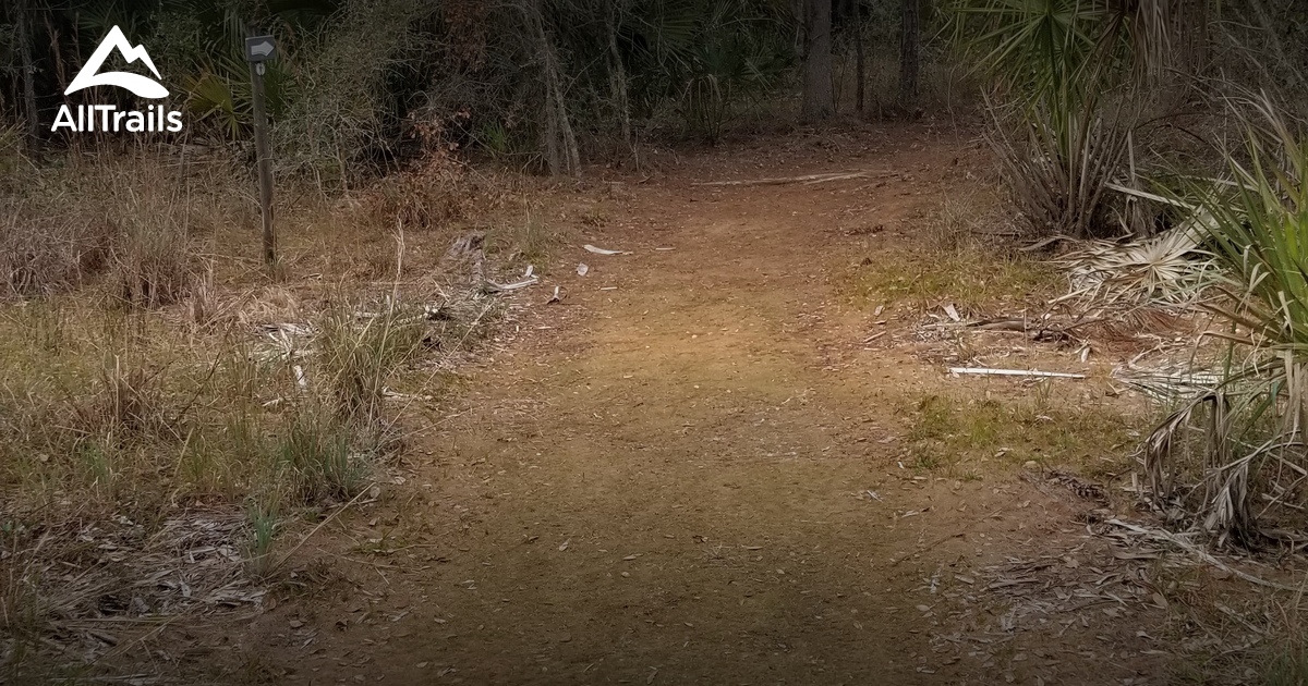 Best Trails in Charlotte Harbor Preserve State Park - Florida | AllTrails