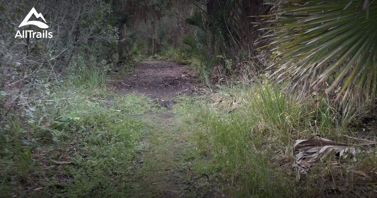 Best forest trails in Charlotte Harbor Preserve State Park | AllTrails