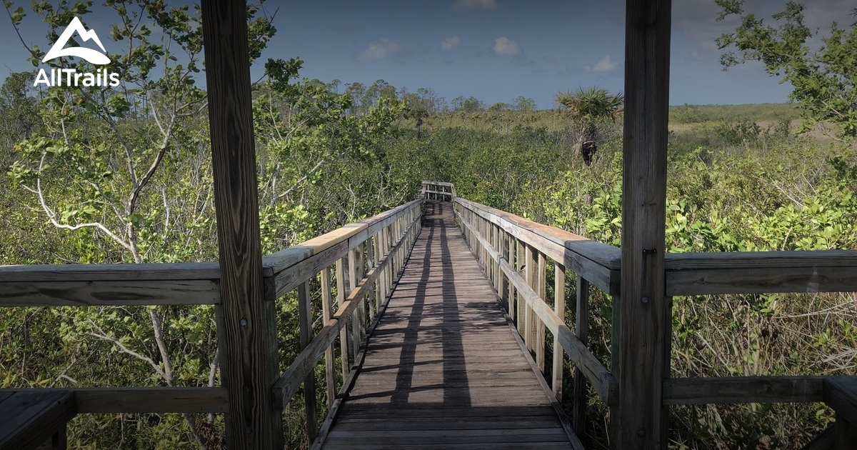 Best Trails in Collier-Seminole State Park - Florida | AllTrails