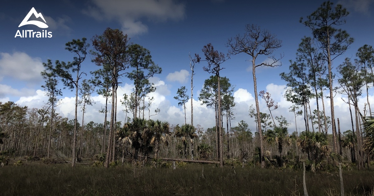 Best Trails in Collier-Seminole State Park - Florida | AllTrails