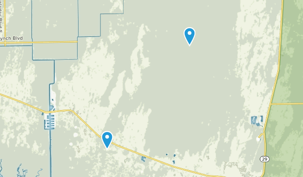 Best Trails in Fakahatchee Strand Preserve State Park - Florida | AllTrails