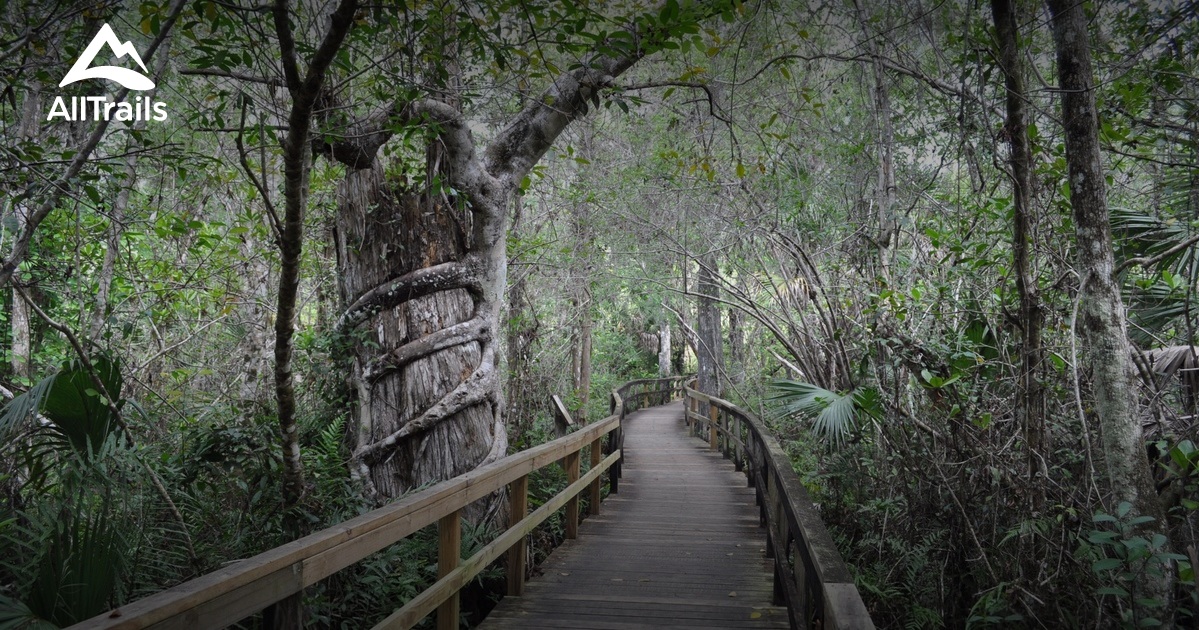 Best Trails in Fakahatchee Strand Preserve State Park - Florida | AllTrails