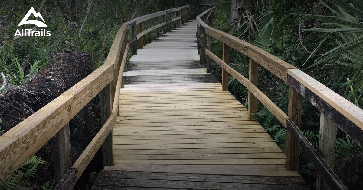 Best Trails in Fakahatchee Strand Preserve State Park - Florida | AllTrails