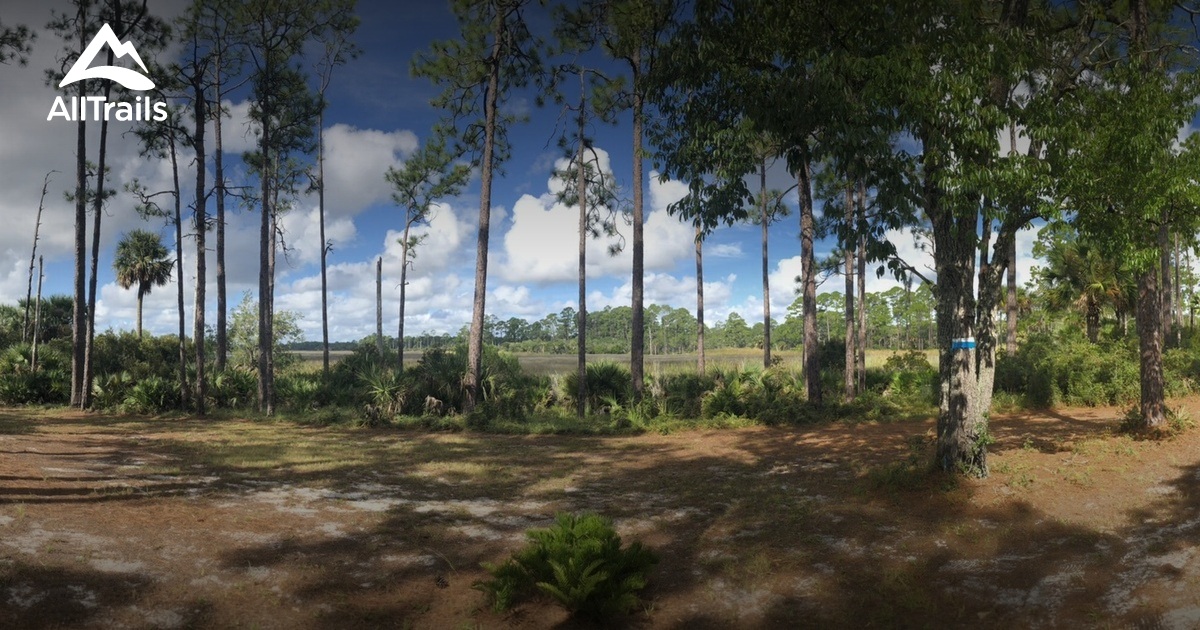 Die Besten Einfachen Routen in Faver-Dykes State Park | AllTrails