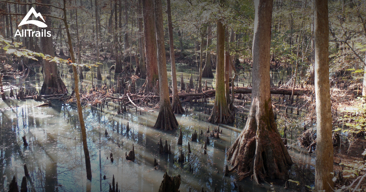 Best Trails in Florida Caverns State Park - Florida | AllTrails