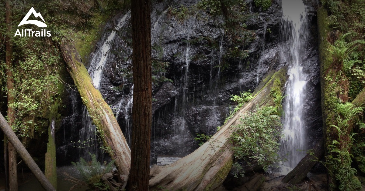De beste routes voor honden aan de lijn in Russian Gulch State Park ...